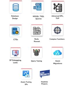 Oracle PL/SQL Training – Advanced Programming Course 2025